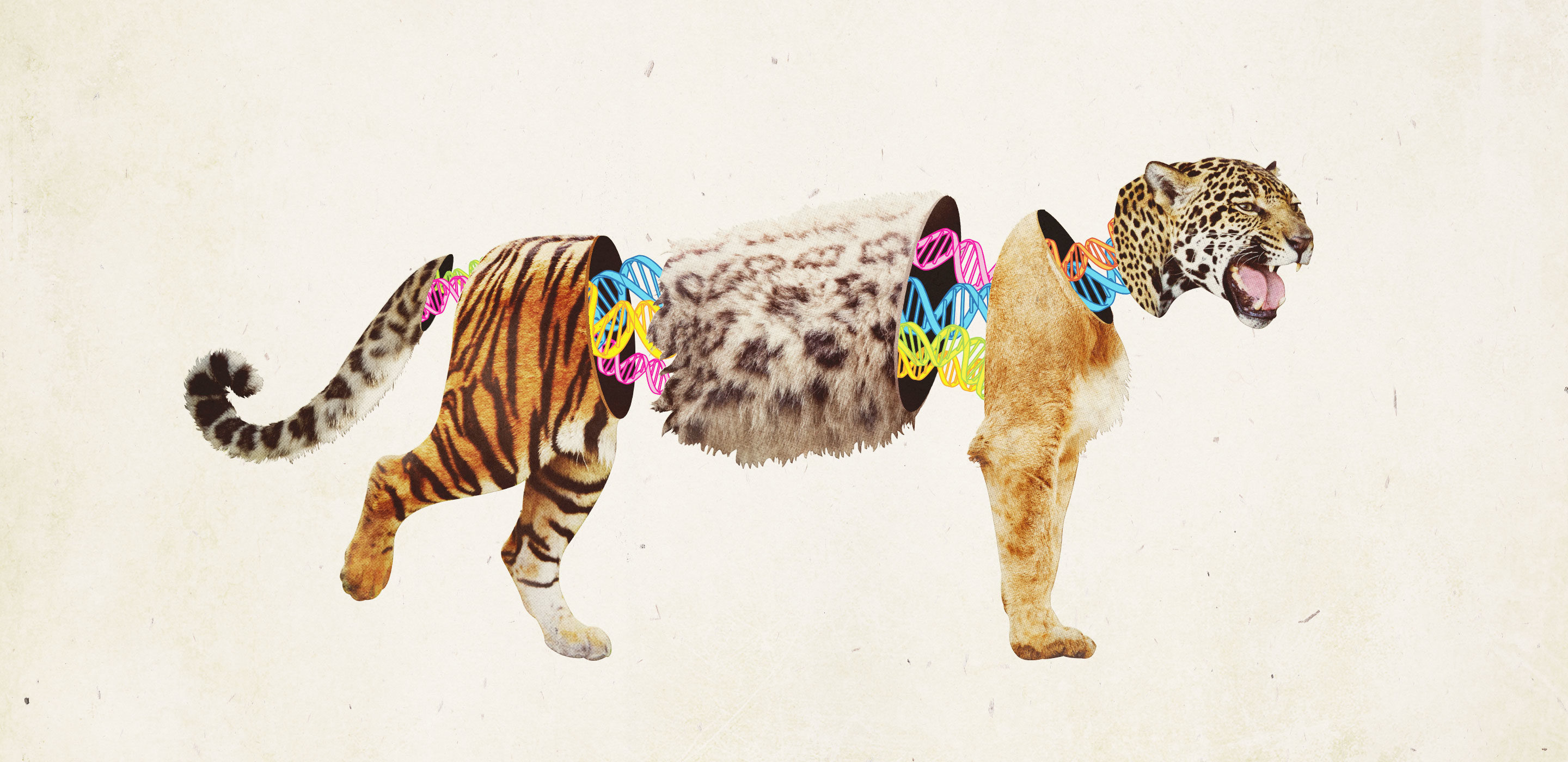 Interspecies Hybrids Play a Vital Role in Evolution - Canadian ...