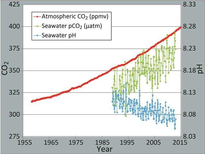 oceanic tipping point - Canadian Association for the Club of Rome