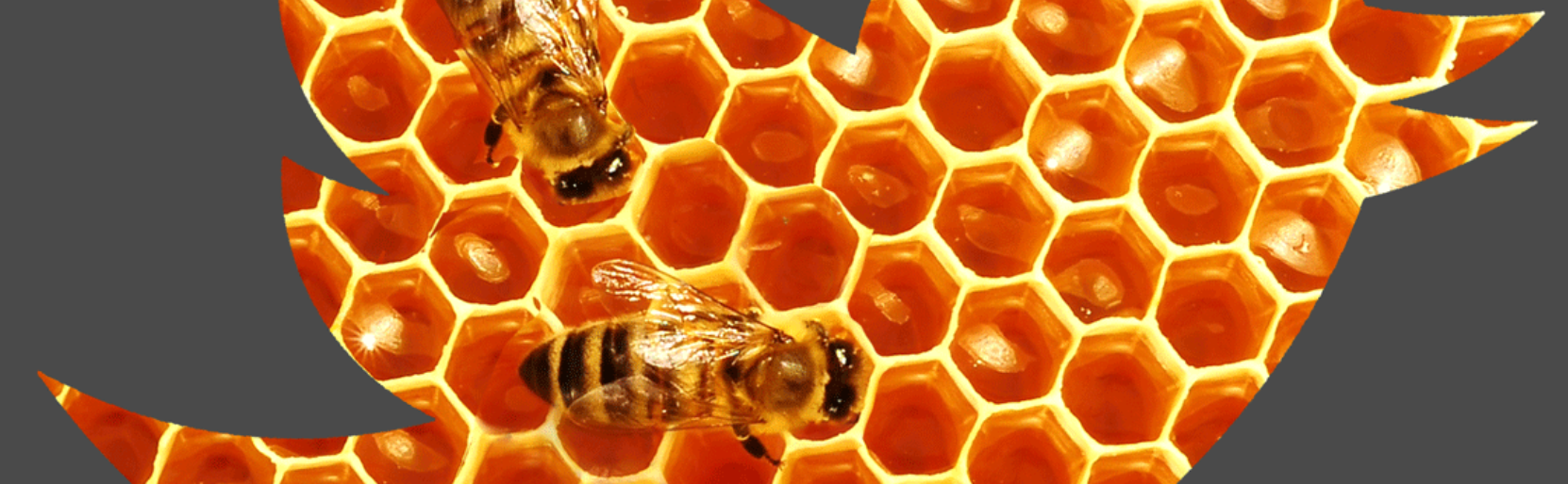 Would Twitter Ruin Bee Democracy? - Canadian Association for the Club ...
