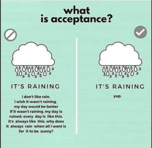 Radical Acceptance - Canadian Association for the Club of Rome