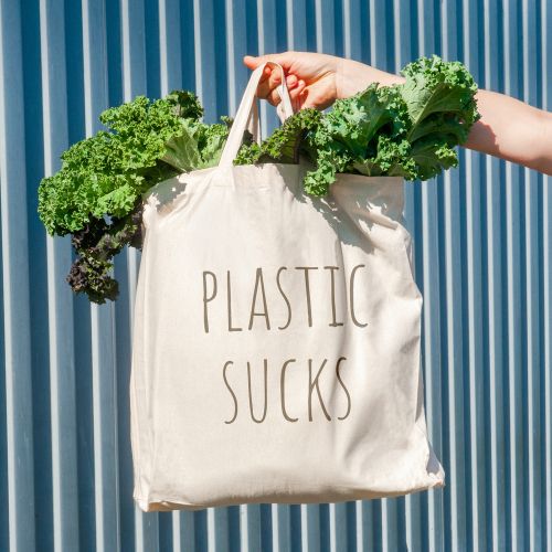 Plastic Sucks - Canadian Association for the Club of Rome