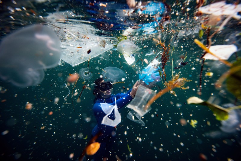 Ocean plastic - marine ecosystems sustainably - Canadian Association ...