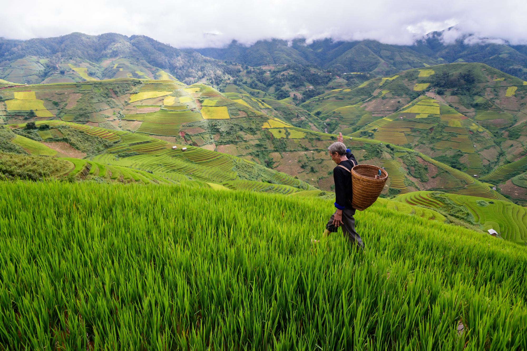 90% of farm subsidies are bad for the environment and our health ...