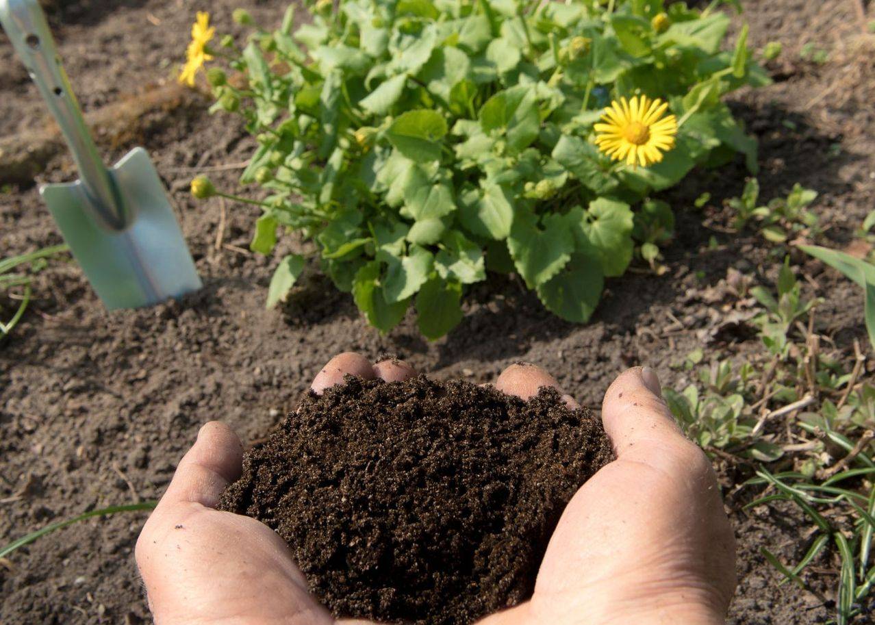 Shit into Manure: The art of Wu Wei - Canadian Association for the Club ...